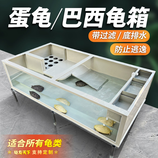Egg turtle transparent turtle cylinder glass PP plastic turtle turtle ...