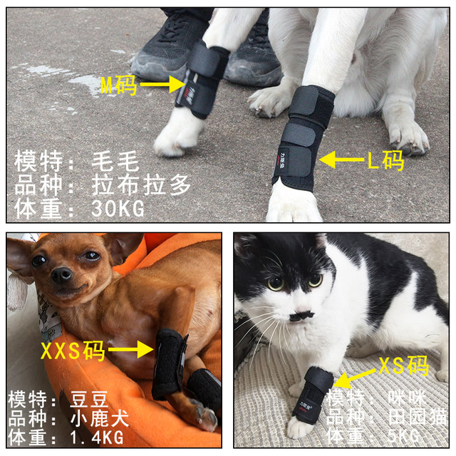 Dog fracture fixing splint protection joint leg guards O-shaped leg ...