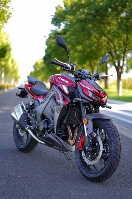 N19 street car Jiajue Python motorcycle Jiaolong sports car Kawasaki Z1000 imitation racing two ...