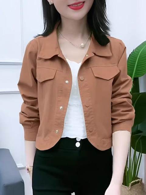Small short jacket top for women in autumn 2025 new small fragrance ...