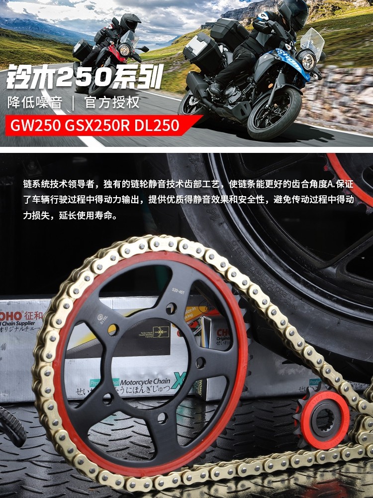 Levy Suzuki GSX250R Ritzel-Kit - Zahnrad & Kette