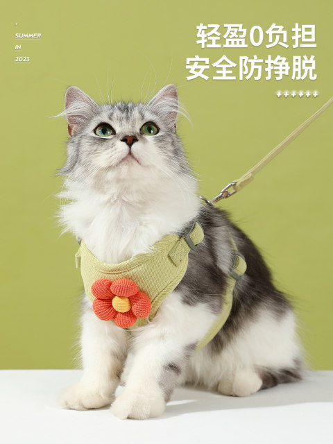 Cat traction rope anti -break free of special cat ropes vest, backbone ...