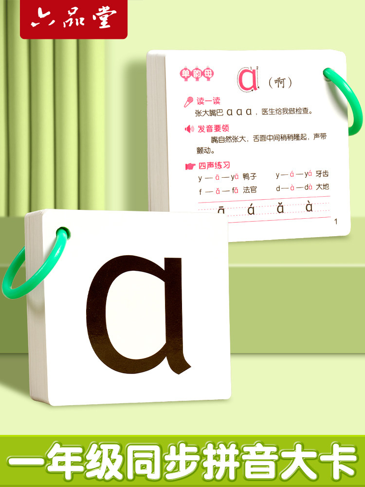Chinese Pinyin Cards - Primary School Literacy Learning Tool for First ...