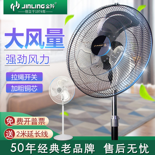 Jinling Pure Copper Motor Floor Fan for Home Use, Powerful, High-Power ...