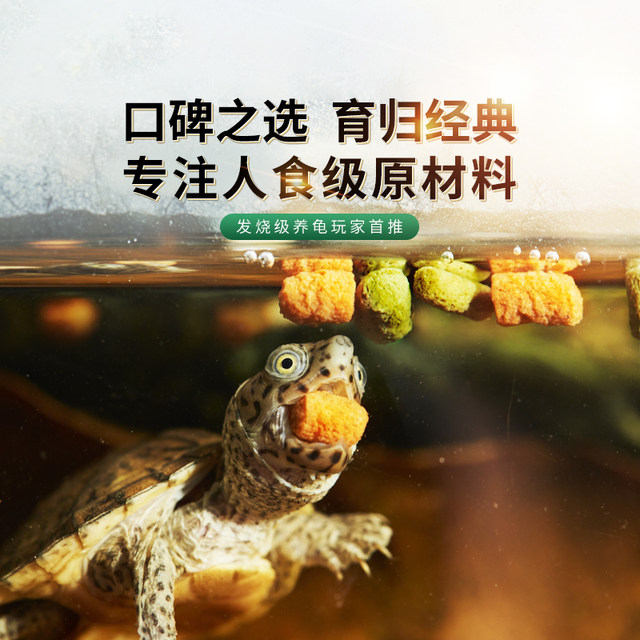 Returning turtle food young turtle feed turtle food yellow margin ...