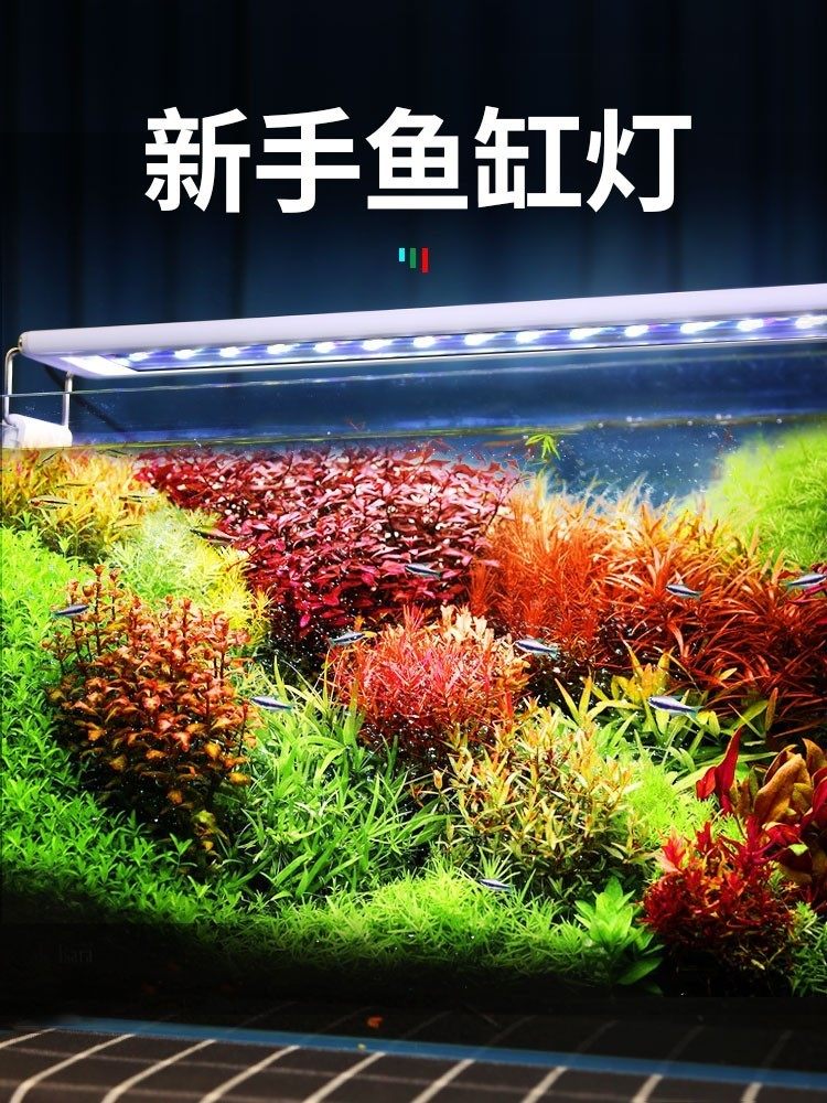 Fish Tank LED Anti-Splash Water Lighting: Special Full Spectrum Small ...