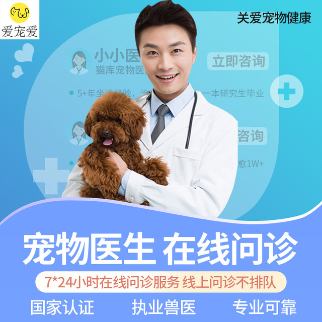 Pet Doctor Consultation for Cats and Dogs, Pet Hospital Veterinarian ...