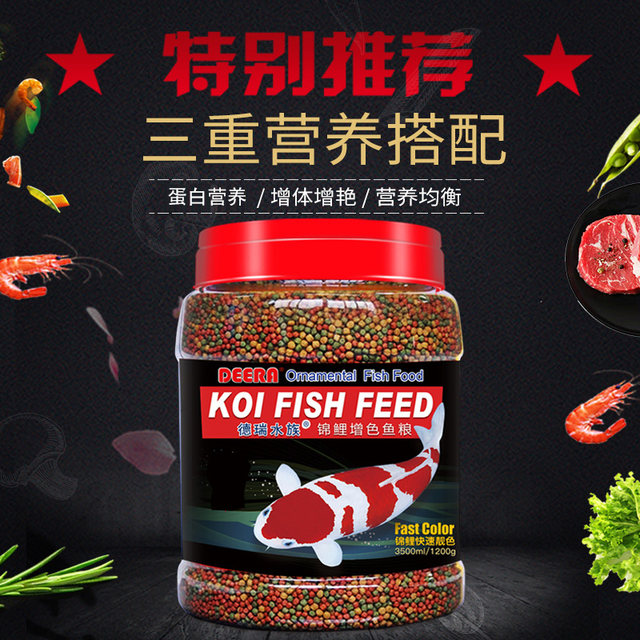 Koi fish feed, goldfish color-enhancing fish food, ornamental fish ...