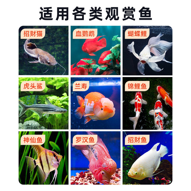 Sinking Fish Food Lucky Cat Koi Blood Parrot Fish Map Fish Sinking ...