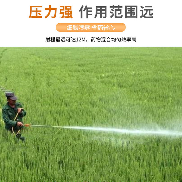 170F high -voltage four -stroke gasoline medication machine Self ...