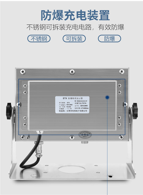 Snow intrinsically safe explosion-proof electronic scale 300 kg floor ...