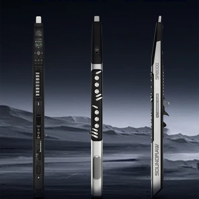 Shengrui SR8000 hair tube musical instrument new middle -aged and ...