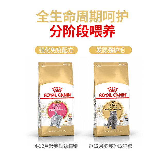 Royal Cat Food British Shorthair Adult Cat Food BS34 Blue Cat Kitten Food BSK38 Trial Special ...
