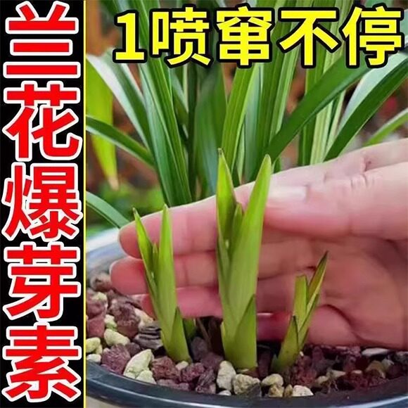 Special nutrient solution for orchids, multi-flare orchids, special ...