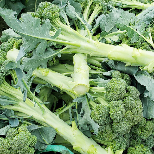 Broccoli seeds, loose broccoli seeds, flower seedlings, loose broccoli ...