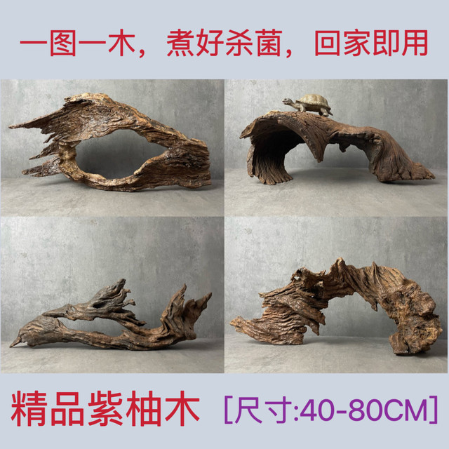 In the 80cm, sinking wood, purple teak grass cylinder fish tank ...