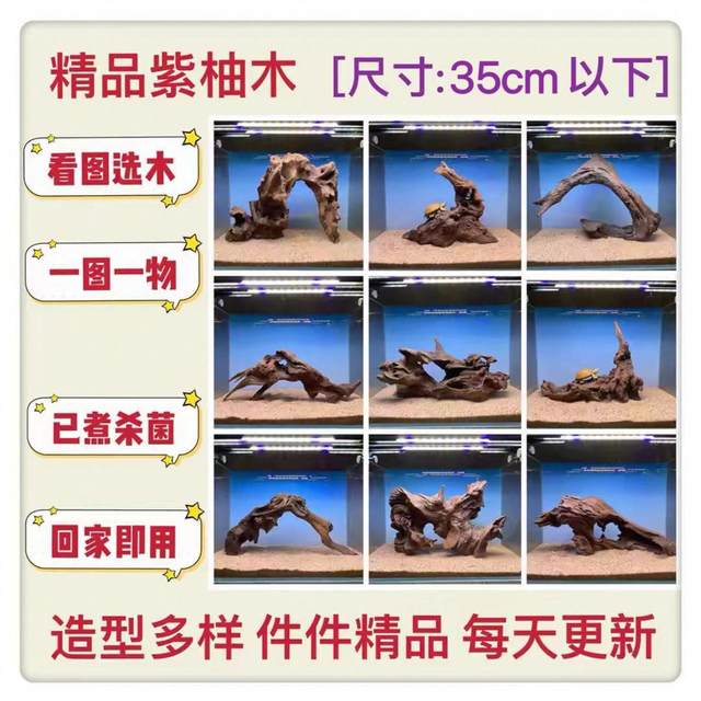 Sunken wood landscaping within 35cm small fish tank landscaping aquatic ...