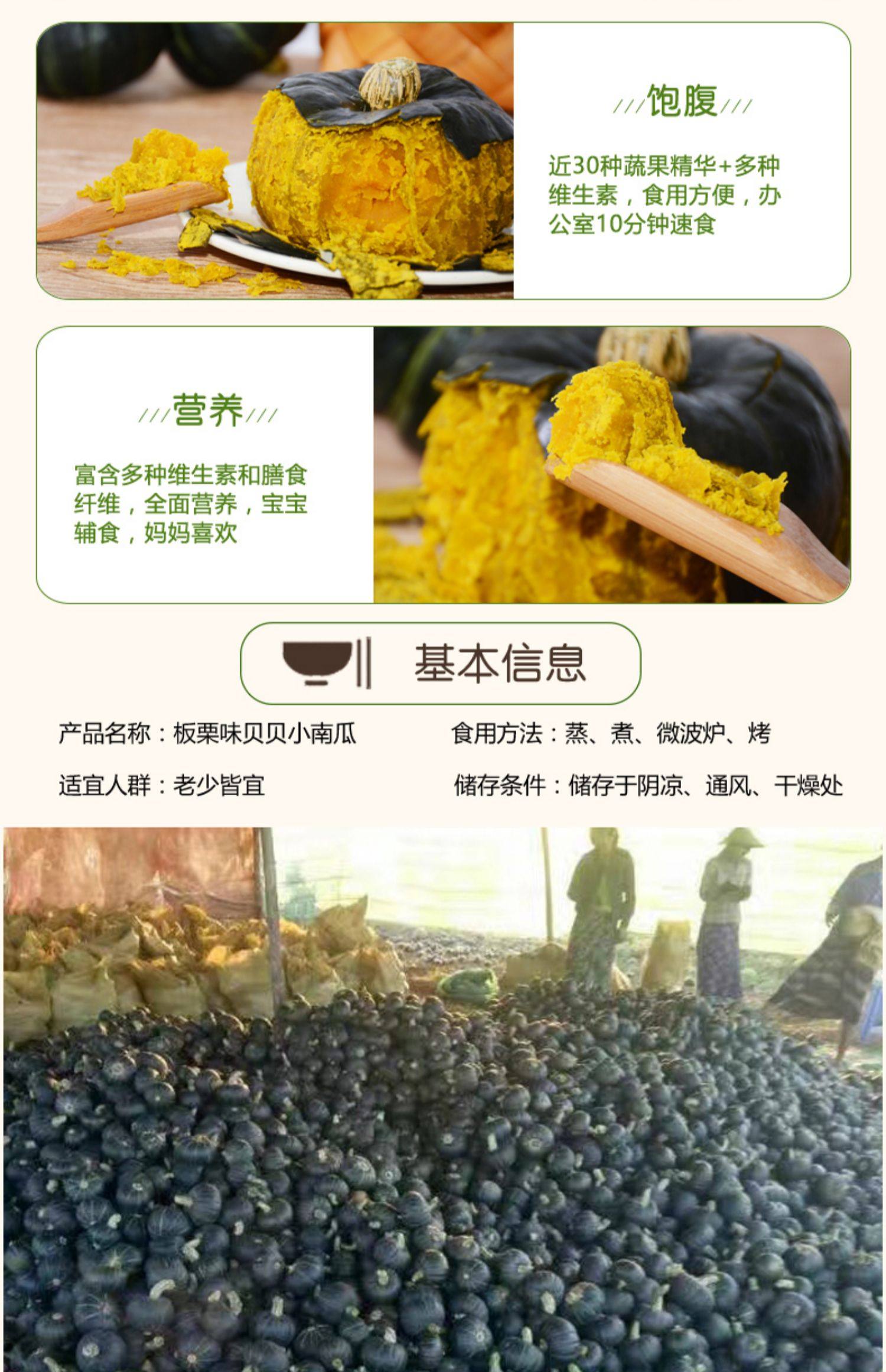 Beibei Pumpkin Chestnut Flavor Beibei Small Pumpkin 5 Jin [Jin equals 0 ...