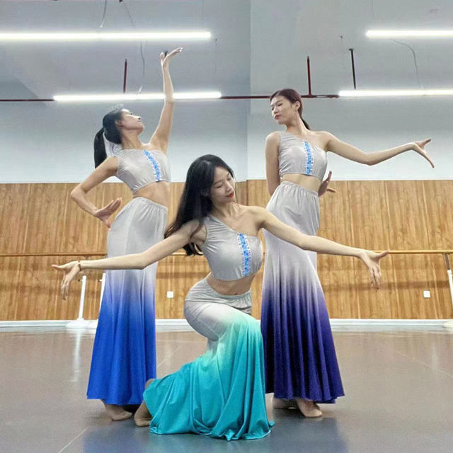 Dai dance clothing, female practice clothing, practice skirt, dance ...