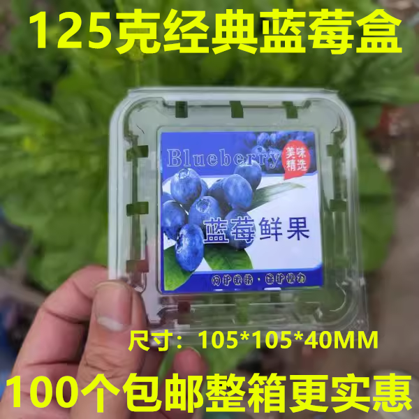 125g disposable thickened transparent blueberry box packaging box ...