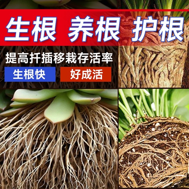 Dr. Huacao's rapid rooting liquid powder, flower fertilizer, plant ...