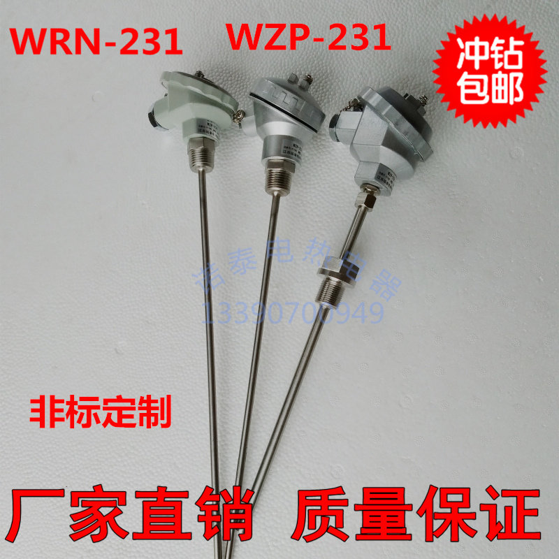 Temperature probe - Insertion depth 100