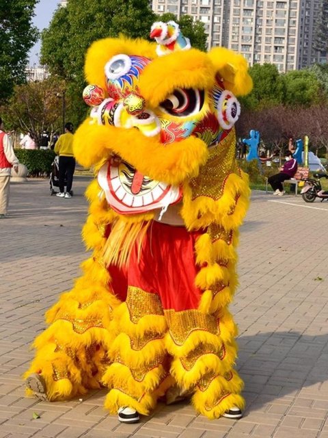 Complete set of lion dance props, Foshan lion dance, lion awakening ...