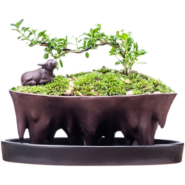 Fortune Tree office living room Coffee table Xuanguan Decoration ...