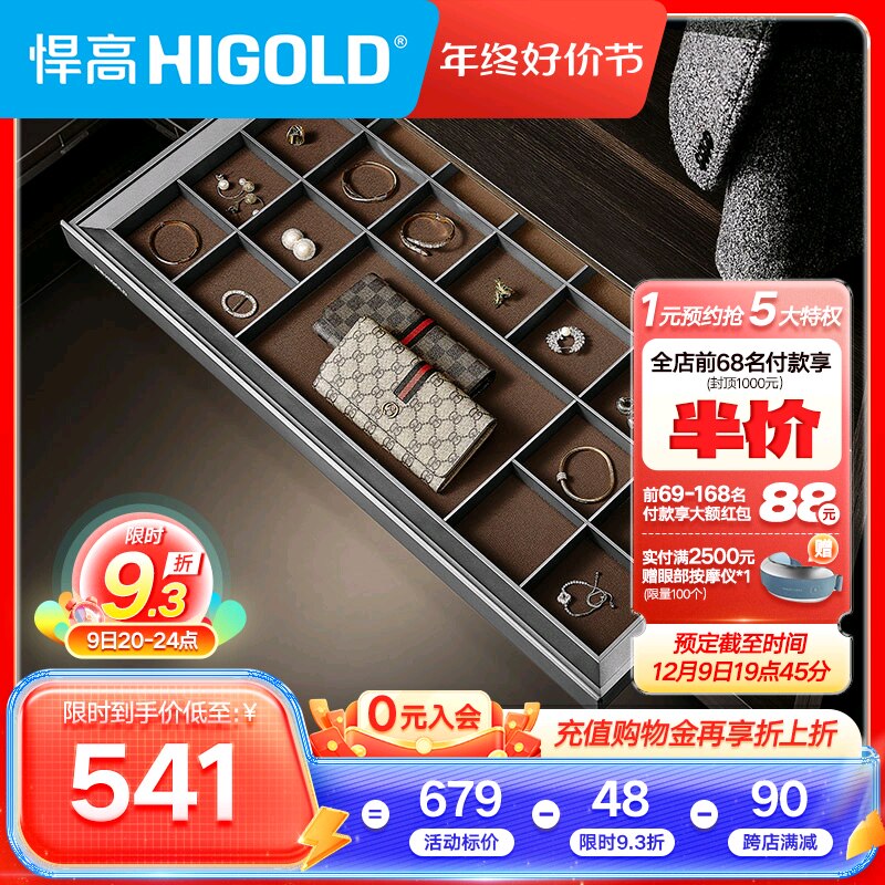 Higold Wardrobe Pull Basket - Underwear Accessories Storage Basket