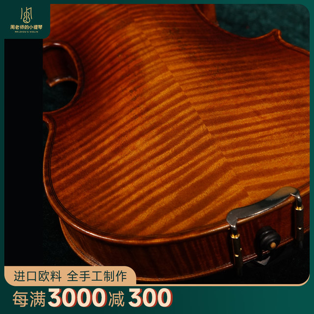 Performing European materials professional handmade violin Bohemian ...