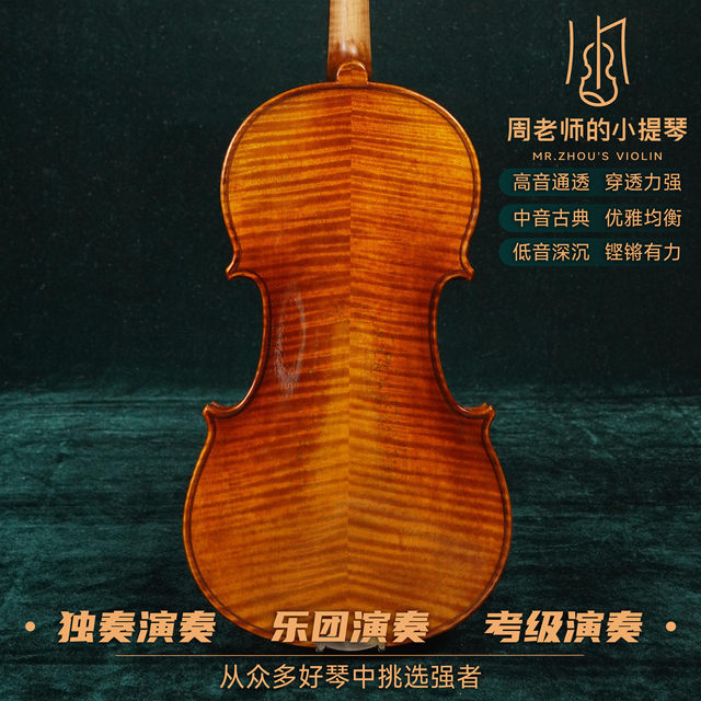 Performing European materials professional handmade violin Bohemian ...