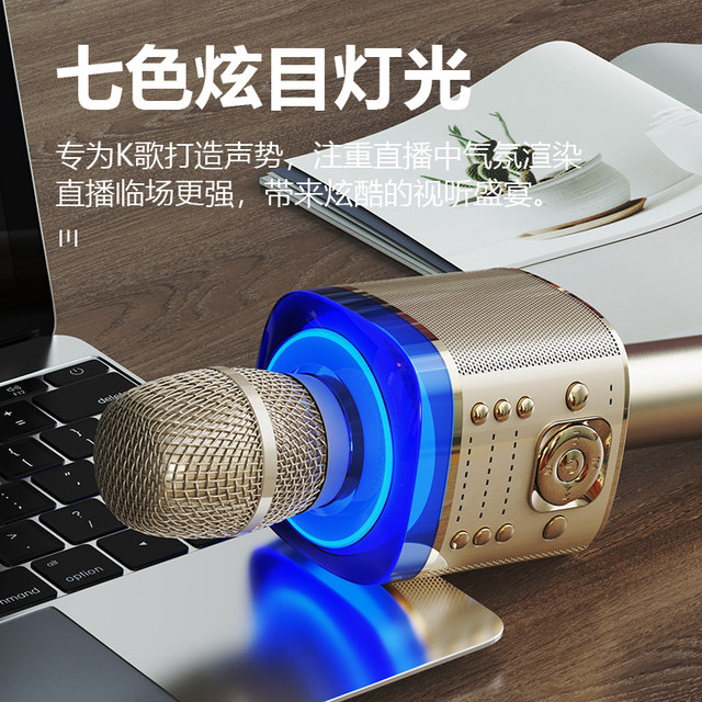 Rebel microphone microphone audio all-in-one machine universal singing ...