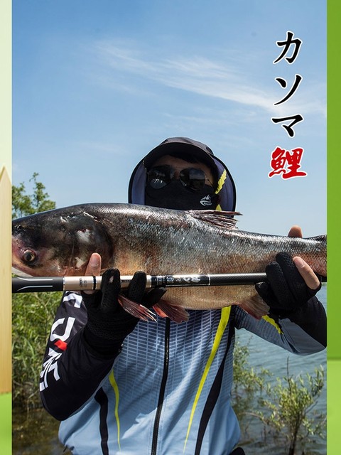 Gamma carp 37/28/19 fishing rod hand rod ultra-light and ultra-hard ...