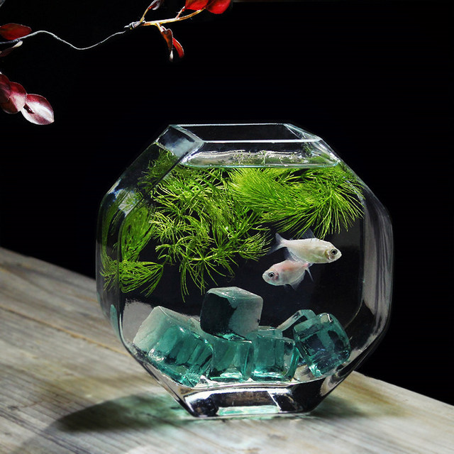 Douyu tank thickened high -white glass personalized fish tank small ...