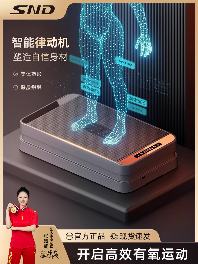 Schneider Vertical Rhythm Fat Shaking Machine - Whole Body Fitness ...