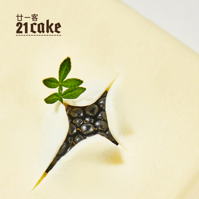 21cake Jinghong fruit cake birthday cake ice cream cake animal cream cake 21 customers same city ...