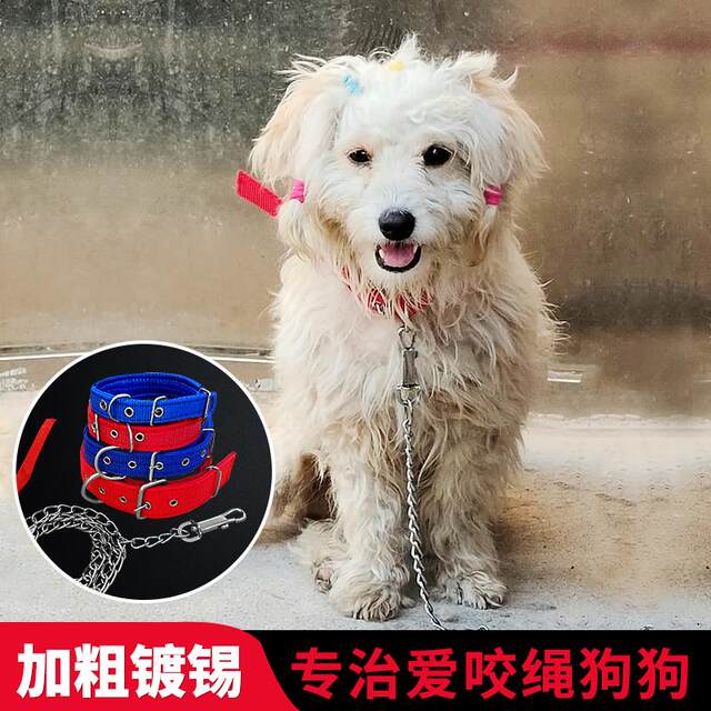Dog chain, small, medium and large dog iron chain collar, traction rope ...