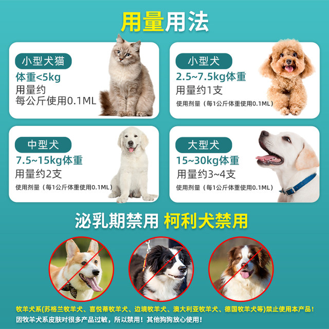 Dog external anthelmintic Teddy pet internal and external all-in-one ...