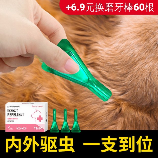 Dog external anthelmintic Teddy pet internal and external all-in-one ...