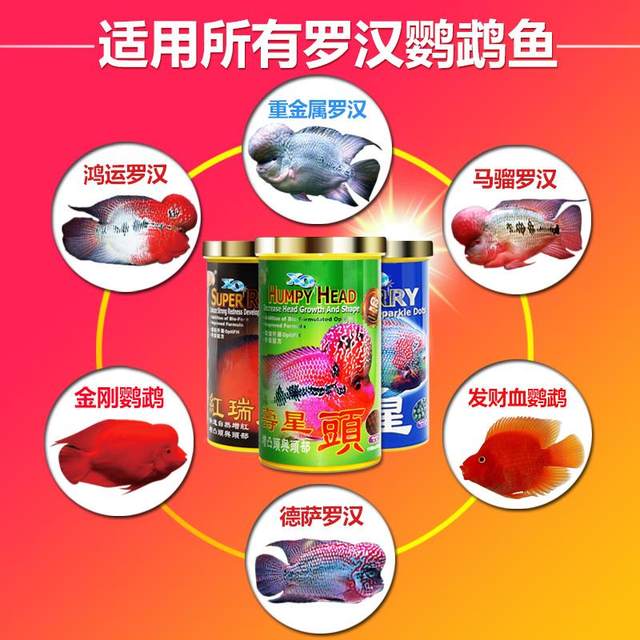 Qian Hu Ao Shen Longevity Star Head Red Ruishen Arhat Fish Feed ...