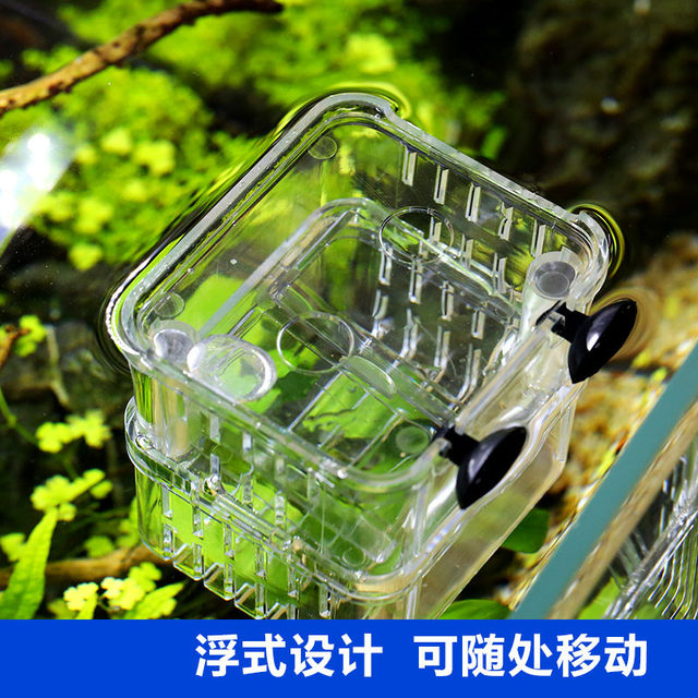 Sensen guppy breeding box, juvenile fish tank, isolated betta fish fry ...