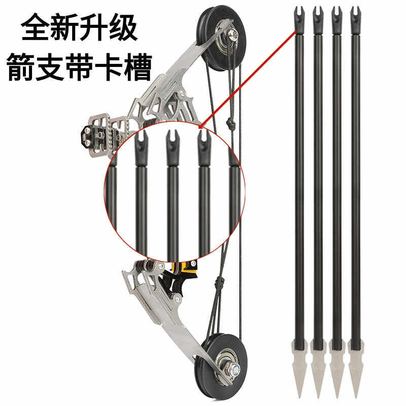 Stainless steel terminator compound bow leisure decompression ...