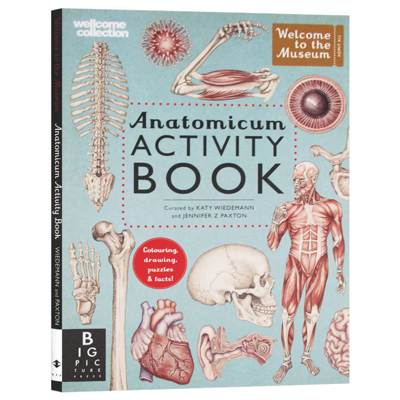 Добре дошли в музейната поредица anatomicum activity book - Човешко ...