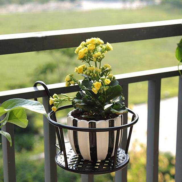 Balcony hanging flower rack iron railing guardrail windowsill green ivy ...