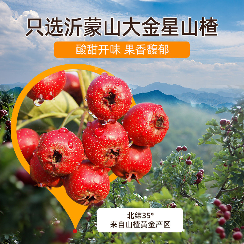 Yimeng Commune Hawthorn Lollipops - 500g - No Additives