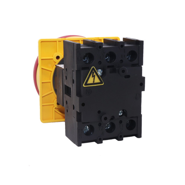 Shanghai Tianyi Camworne Broken Switch LW42B2-1824/LF101-2825/B25B32B63 ...