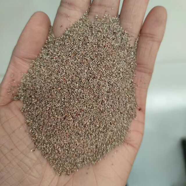 Beautiful Japanese Flower Seeds