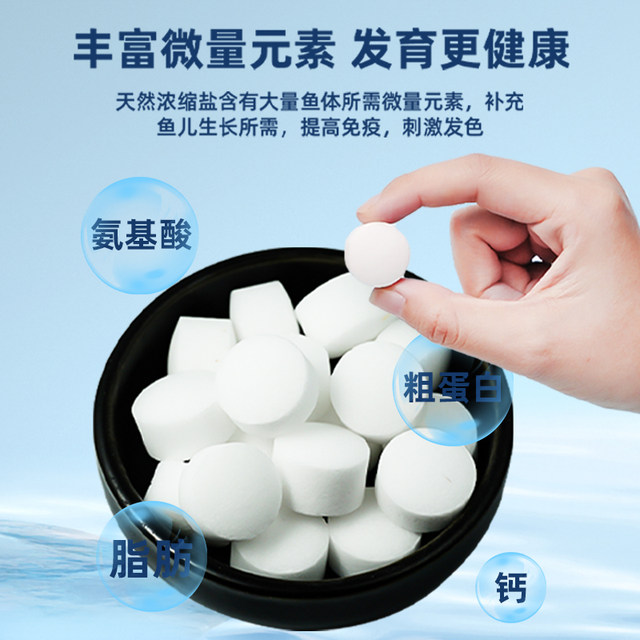 Ornamental fish special saltwater aquarium fish tank fish farming ...