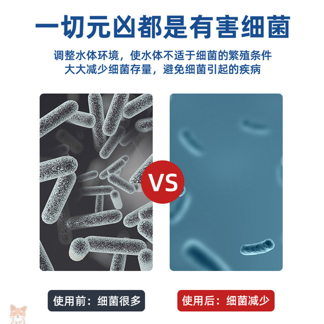 Ornamental fish special saltwater aquarium fish tank fish farming ...