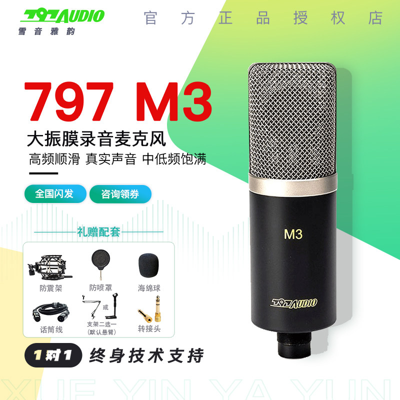 797 Audio M3 Professional Large Diaphragm Vocal Recording Condenser ...